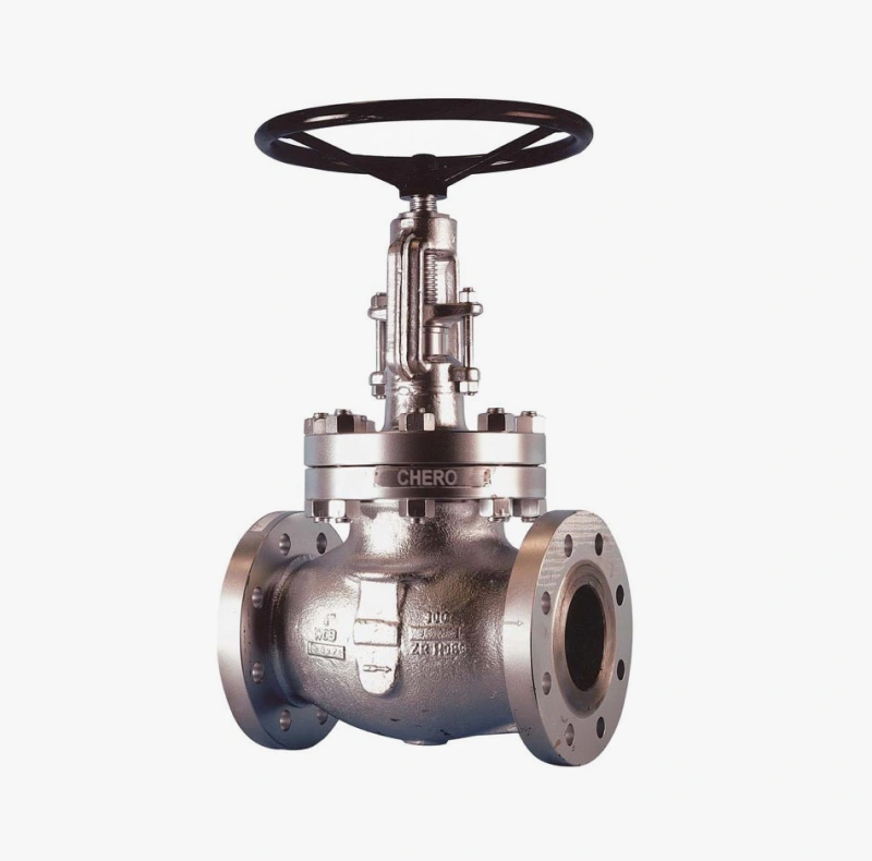 Check Valves, Gate, Globe – Cast (API 600) - NTSA